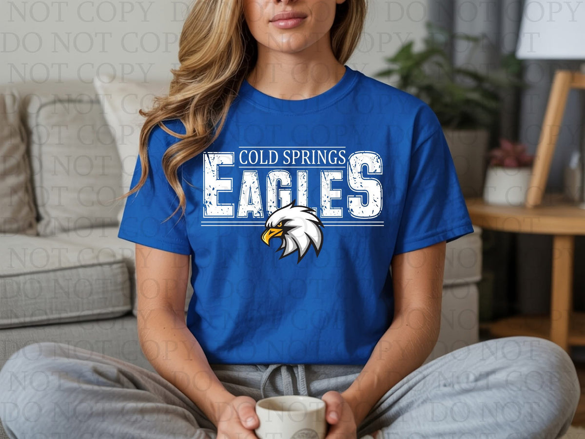 Cold Springs Eagles Lined Transfer Sheet – Pretty Lil Things PLT Wholesale