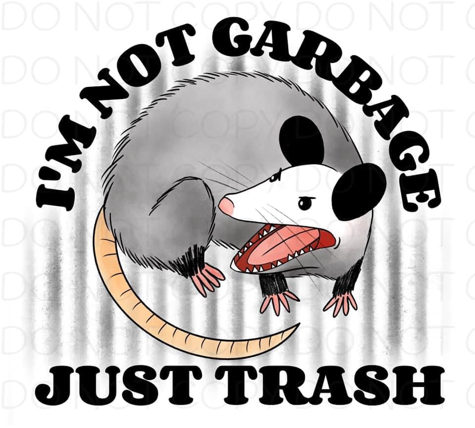 Im Not Garbage Just Trash Transfer Sheet – Pretty Lil Things PLT Wholesale
