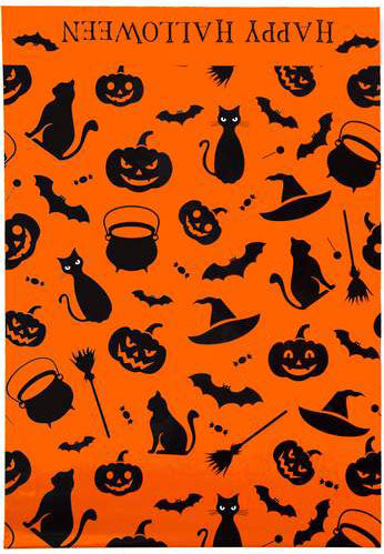 10x13 Poly Mailers-Flat (Single) – Pretty Lil Things PLT Wholesale